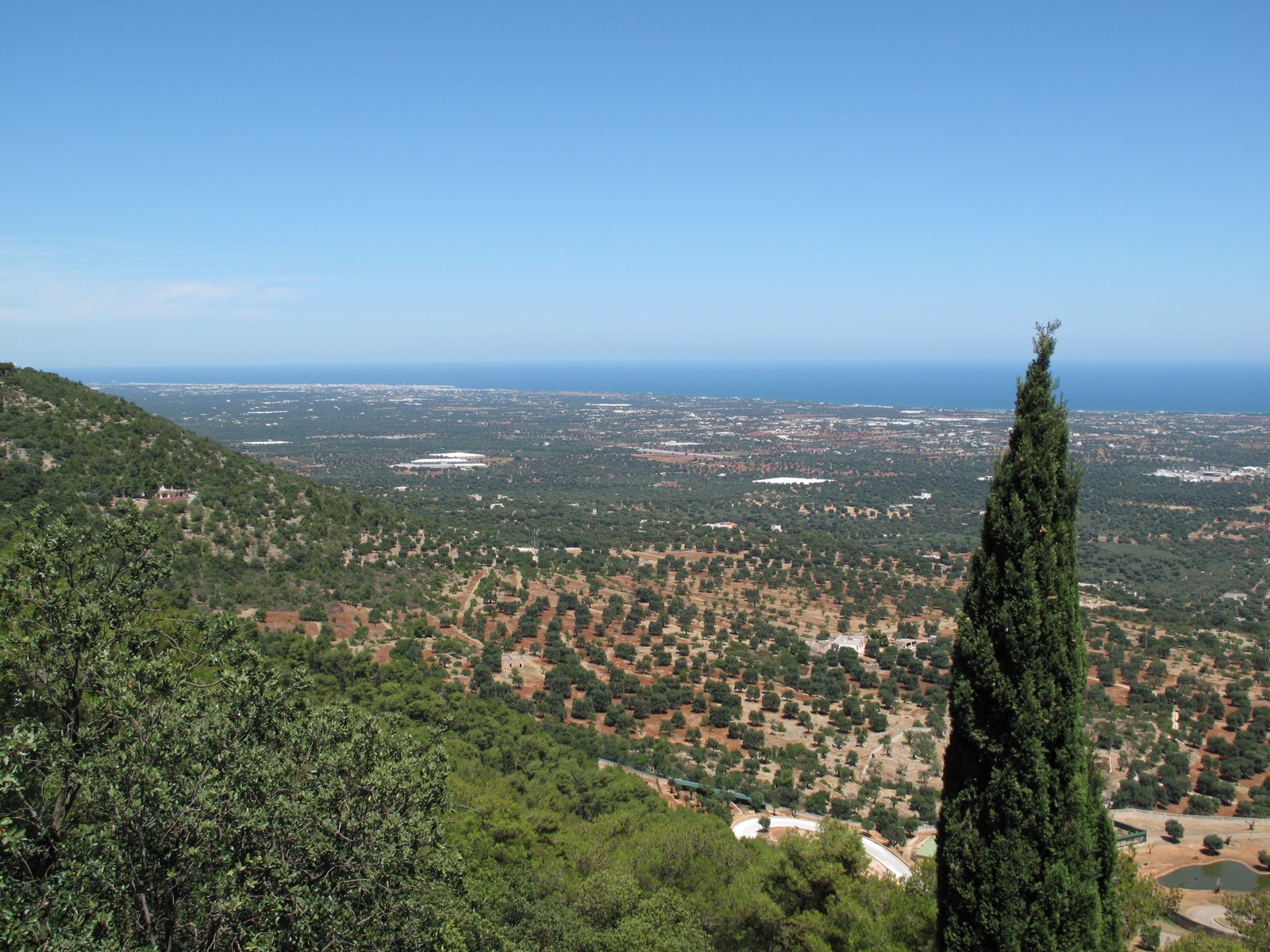 La Selva di Fasano - Dove Siamo - SANTE' centro benessere Fasano Brindisi